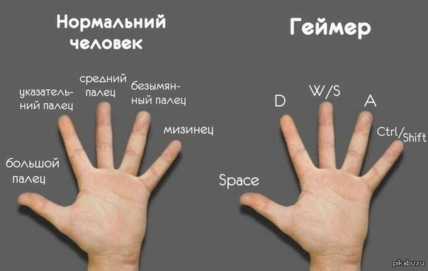 Немного о геймерах | Пикабу