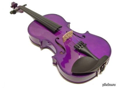 Violet violin | Пикабу