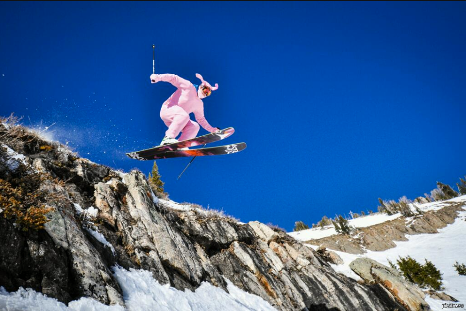 Заяц фрискер | Пикабу