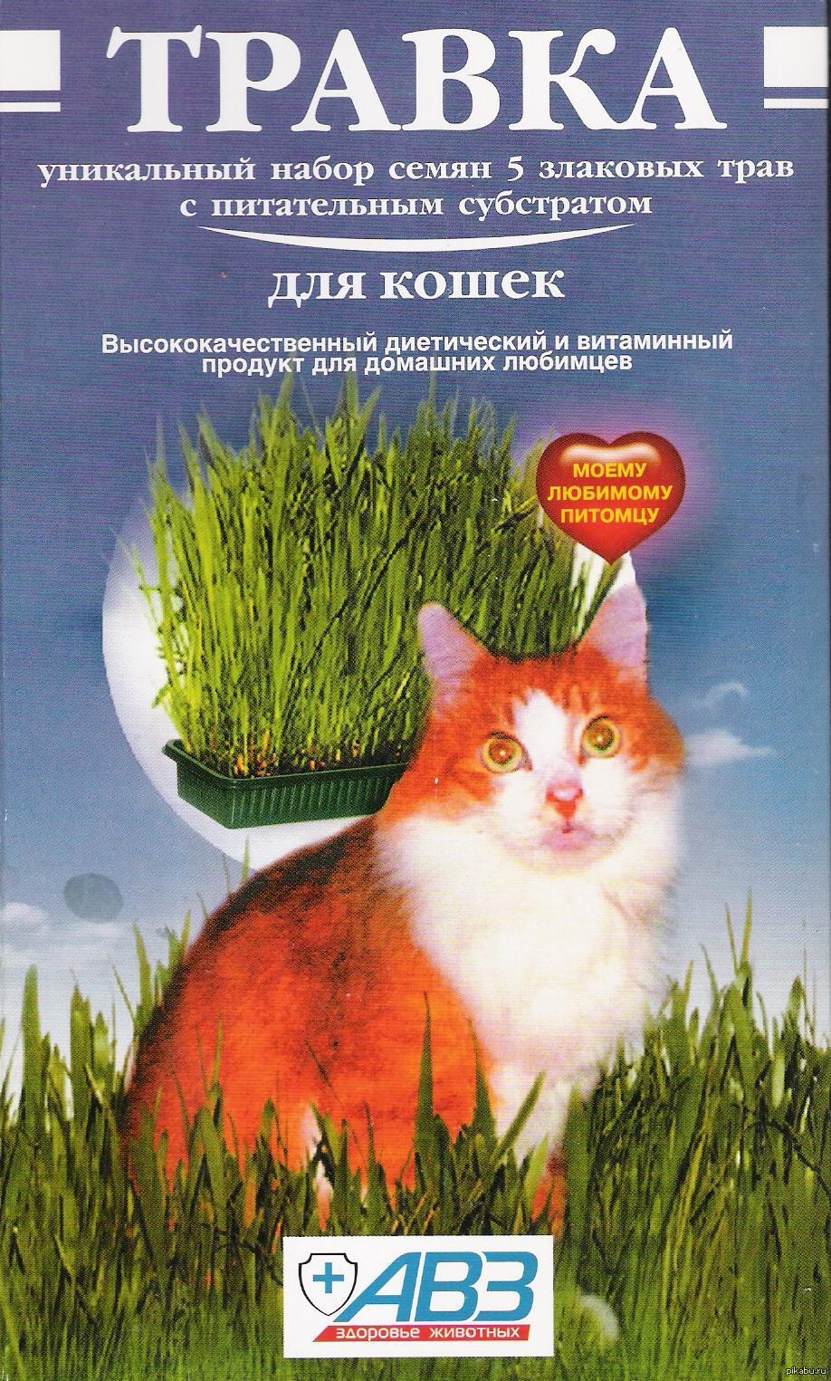 Не простая травка | Пикабу