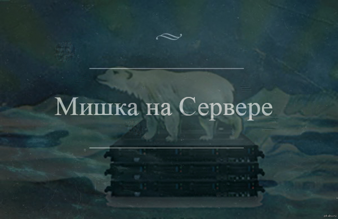 Мишка на Сервере | Пикабу